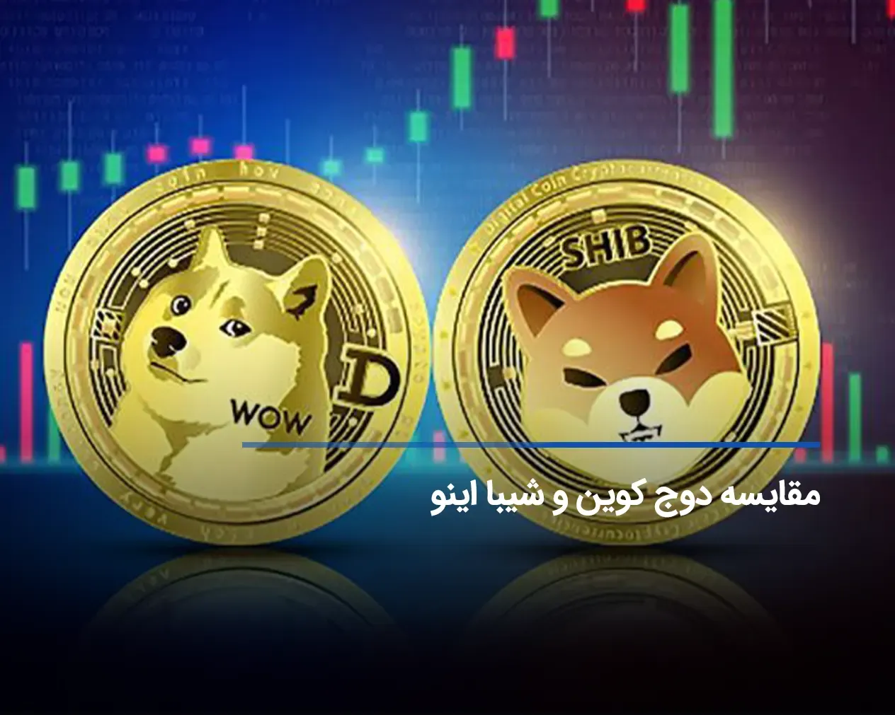 مقایسه دوج کوین و شیبا اینو، کدام میم کوین بهتر است؟